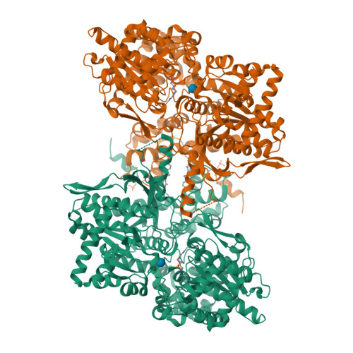 RCSB PDB - 1LWO: Crystal structure of rabbit muscle glycogen ...