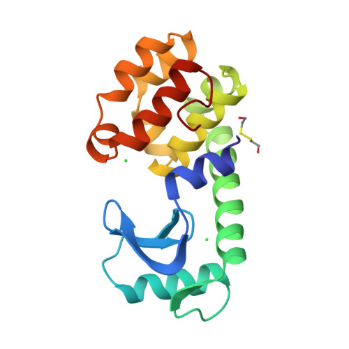 RCSB PDB - 1LYE: DISSECTION OF HELIX CAPPING IN T4 LYSOZYME BY ...