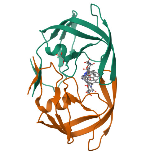 RCSB PDB - 1M0B: HIV-1 protease in complex with an ethyleneamine inhibitor