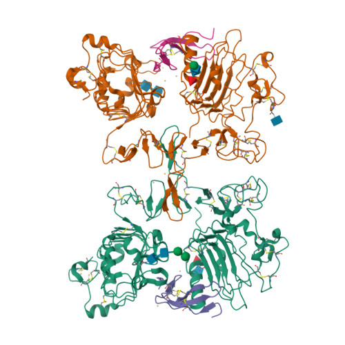RCSB PDB - 1MOX: Crystal Structure of Human Epidermal Growth Factor ...