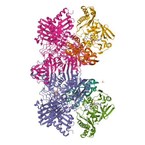 RCSB PDB - 1N63: Crystal Structure of the Cu,Mo-CO Dehydrogenase (CODH ...