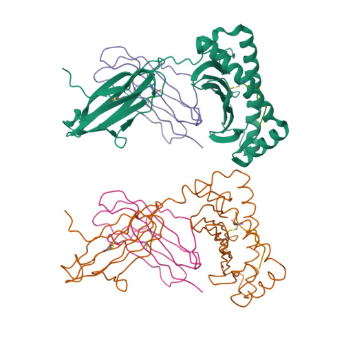 RCSB PDB - 1NAN: MCH CLASS I H-2KB MOLECULE COMPLEXED WITH PBM1 PEPTIDE