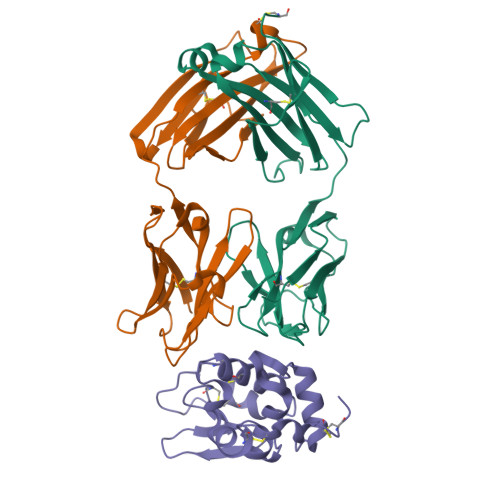 RCSB PDB - 1NBZ: Crystal Structure of HyHEL-63 complexed with HEL ...