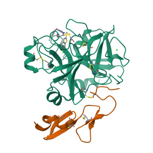 RCSB PDB - 1NFY: CRYSTAL STRUCTURE OF HUMAN COAGULATION FACTOR XA ...