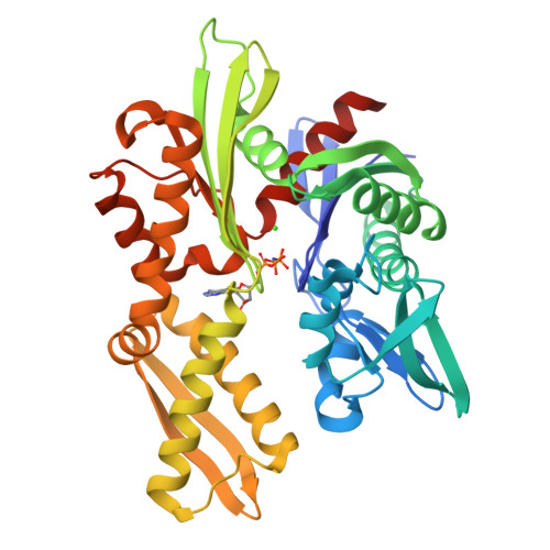 RCSB PDB - 1NGI: STRUCTURAL BASIS OF THE 70-KILODALTON HEAT SHOCK ...