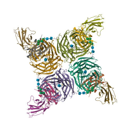 RCSB PDB - 1NMA: N9 NEURAMINIDASE COMPLEXES WITH ANTIBODIES NC41 AND ...