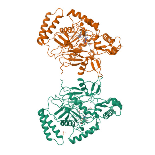 RCSB PDB - 1NOD: MURINE INDUCIBLE NITRIC OXIDE SYNTHASE OXYGENASE DIMER ...