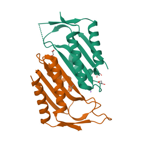 RCSB PDB - 1NVJ: Deletion Mutant (Delta 141) of Molybdopterin Synthase