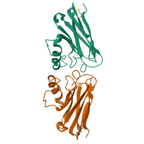 RCSB PDB - 1NWO: CRYSTALLOGRAPHIC STUDY OF AZURIN FROM PSEUDOMONAS PUTIDA