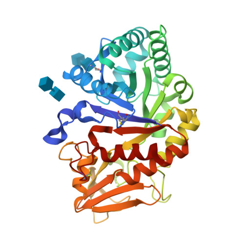 RCSB PDB - 1NWS: Crystal structure of human cartilage gp39 (HC-gp39) in ...