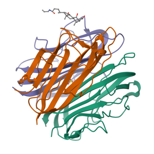 RCSB PDB - 1O91: Crystal Structure of a Collagen VIII NC1 Domain Trimer
