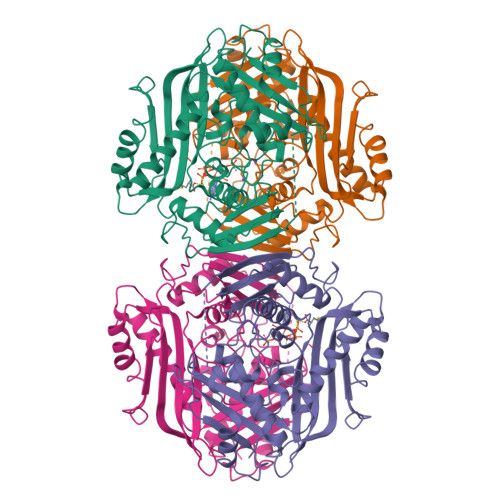 RCSB PDB - 1O9T: Methionine adenosyltransferase complexed with both ...