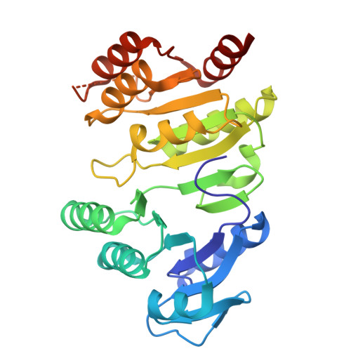 RCSB PDB - 1OI7: The Crystal Structure of Succinyl-CoA synthetase alpha ...
