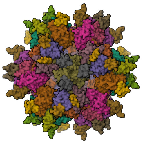 RCSB PDB - 1OQD: Crystal structure of sTALL-1 and BCMA