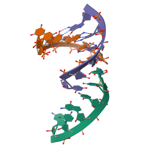 RCSB PDB - 1OSU: STRUCTURE OF THE RNA HEXAMER, R(UUCGCG), WITH A 5'-UU ...