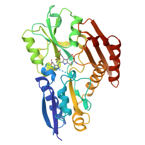 RCSB PDB - 1PDA: STRUCTURE OF PORPHOBILINOGEN DEAMINASE REVEALS A ...