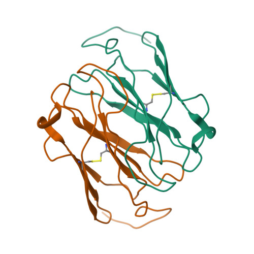 RCSB PDB - 1PFC: MOLECULAR-REPLACEMENT STRUCTURE OF GUINEA PIG IGG1 P ...