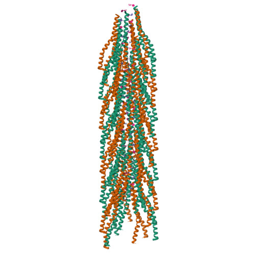 RCSB PDB - 1PFI: PF1 VIRUS STRUCTURE: HELICAL COAT PROTEIN AND DNA WITH ...
