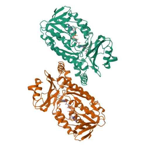 RCSB PDB - 1PHH: CRYSTAL STRUCTURE OF P-HYDROXYBENZOATE HYDROXYLASE ...