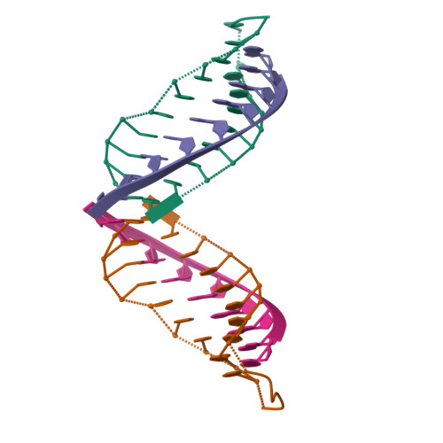 Tertiary Structure Of Dna Nucleic Acid Tertiary Structure Wikipedia