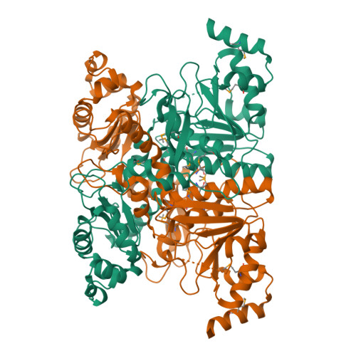 RCSB PDB - 1PQY: Crystal structure of formyl-coA transferase yfdW from ...