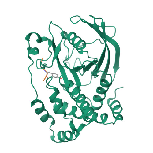 RCSB PDB - 1PTT: CRYSTAL STRUCTURE OF PROTEIN TYROSINE PHOSPHATASE 1B ...