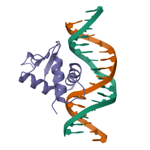 RCSB PDB - 1PUE: PU.1 ETS DOMAIN-DNA COMPLEX