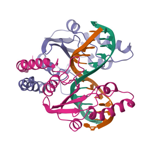 RCSB PDB - 1PVI: STRUCTURE OF PVUII ENDONUCLEASE WITH COGNATE DNA