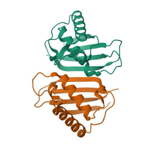 RCSB PDB - 1Q8R: Structure of E.coli RusA Holliday junction resolvase