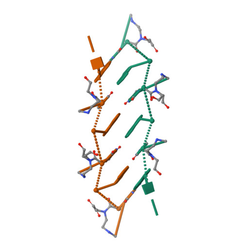 RCSB PDB - 1QPY: CRYSTAL STRUCTURE OF BACKBONE MODIFIED PNA HEXAMER