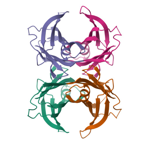 RCSB PDB - 1QWH: a covalent dimer of transthyretin that affects the ...