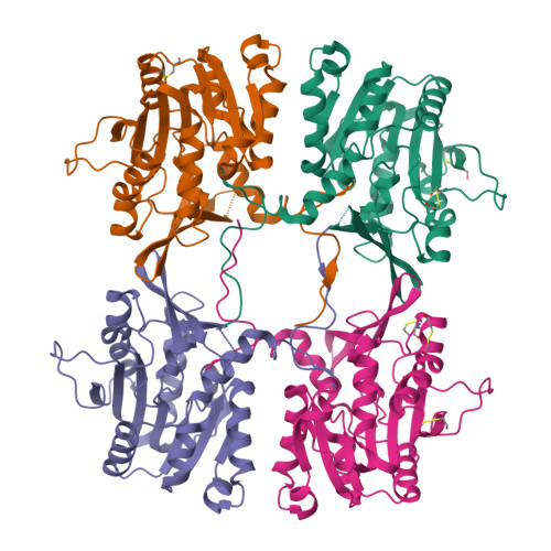 RCSB PDB - 1R8Y: Crystal Structure of Mouse Glycine N-Methyltransferase ...