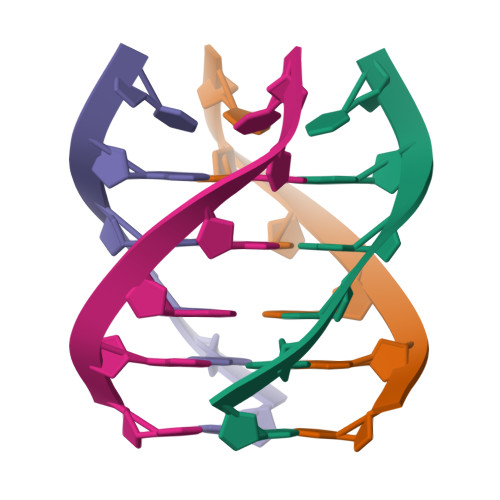 RCSB PDB - 1RAU: SOLUTION STRUCTURE OF AN UNUSUALLY STABLE RNA ...