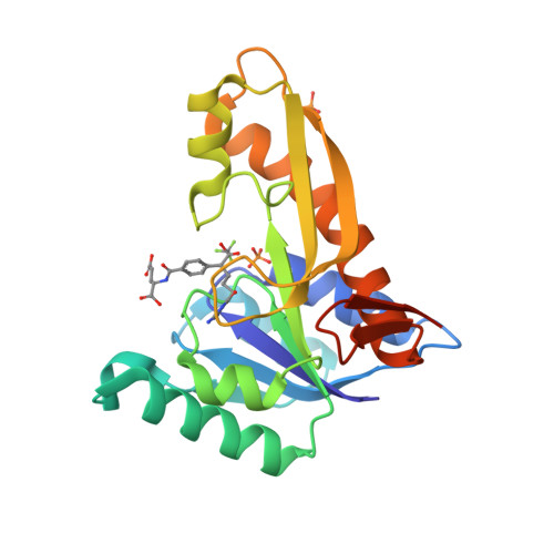 RCSB PDB - 1RBQ: Human GAR Tfase complex structure with 10 ...