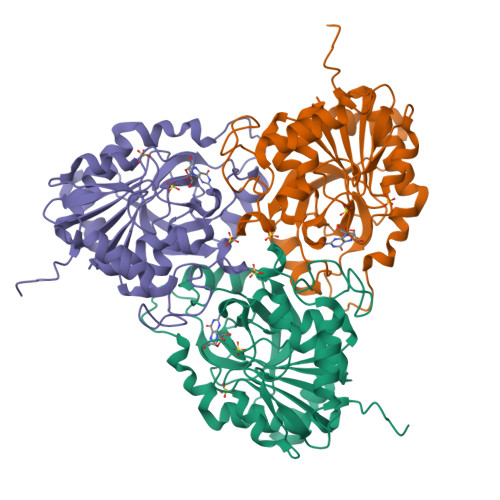 RCSB PDB - 1RFG: Crystal Structure of Human Purine Nucleoside ...