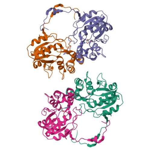 RCSB PDB - 1RMT: Crystal structure of AphA class B acid phosphatase ...