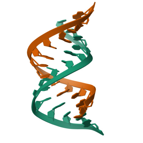 RCSB PDB - 1RNA: CRYSTALLOGRAPHIC STRUCTURE OF AN RNA HELIX: [U(U-A)6A]2