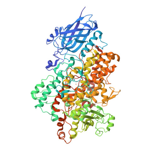 RCSB PDB - 1RRL: Soybean Lipoxygenase (LOX-3) at 93K at 2.0 A resolution