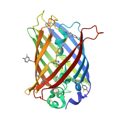 RCSB PDB - 1RRX: Crystallographic Evidence for Isomeric Chromophores in ...