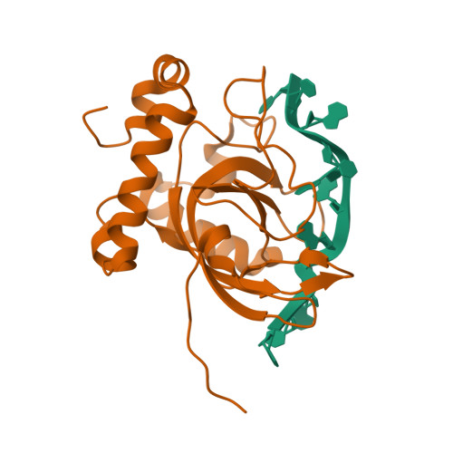 RCSB PDB - 1S40: SOLUTION STRUCTURE OF THE CDC13 DNA-BINDING DOMAIN ...