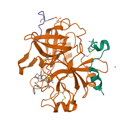 RCSB PDB - 1SB1: Novel Non-Covalent Thrombin Inhibitors Incorporating ...