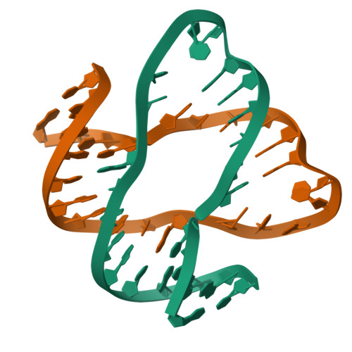 RCSB PDB - 1SLS: IMMOBILE SLIPPED-LOOP STRUCTURE (SLS) OF DNA HOMODIMER ...