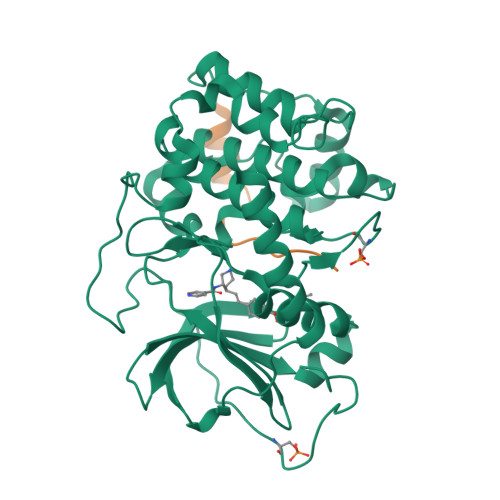 RCSB PDB - 1SVH: Crystal Structure of Protein Kinase A in Complex with ...