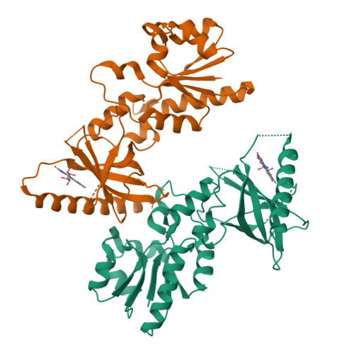 RCSB PDB - 1T6Z: Crystal structure of riboflavin bound TM379