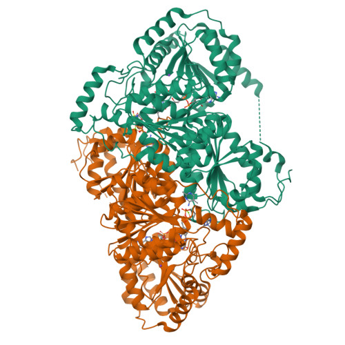 RCSB PDB - 1T9D: Crystal Structure Of Yeast Acetohydroxyacid Synthase ...