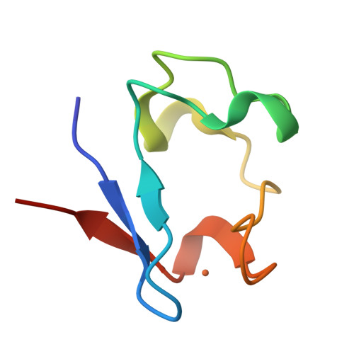 RCSB PDB - 1T9Q: Crystal Structure of V44L Cp Rubredoxin