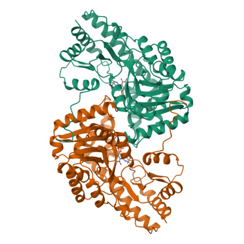 RCSB PDB - 1TAS: CRYSTALLINE MITOCHONDRIAL ASPARTATE AMINOTRANSFERASE ...
