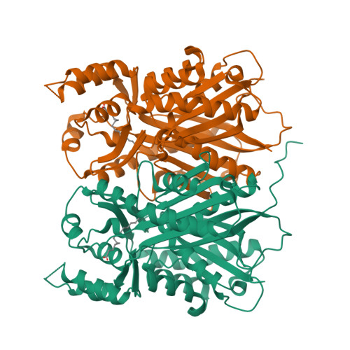 RCSB PDB - 1TED: Crystal structure of a type III polyketide synthase ...