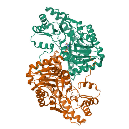 RCSB PDB - 1TOG: Hydrocinnamic acid-bound structure of SRHEPT + A293D ...