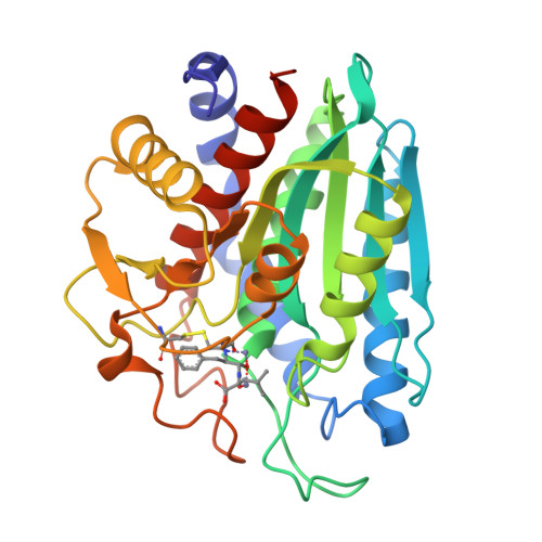 RCSB PDB - 1TXR: X-ray crystal structure of bestatin bound to AAP